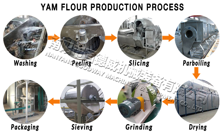 Yam Flour Processing Machine